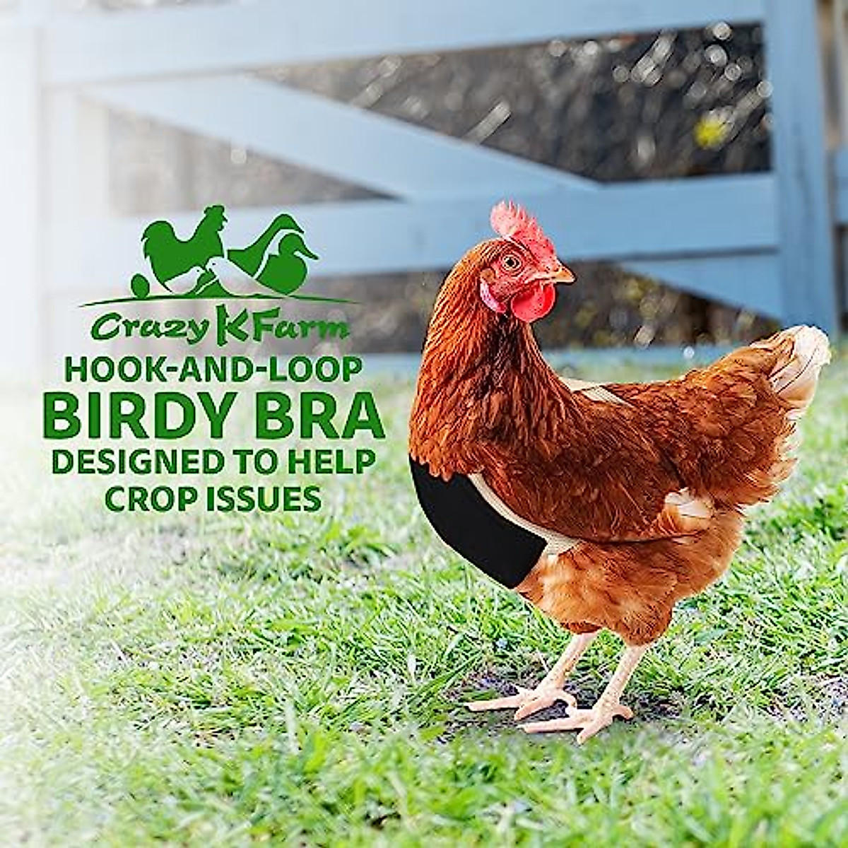 Birdy Bra Standard Chicken Hook-and-Loop Crop Bra, Black