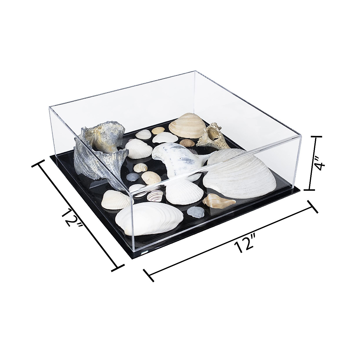 Better Display Cases Versatile Acrylic Clear Display Case - Medium Rectangle Box with Black Base 12" x 12" x 4" (A030B-BDS)