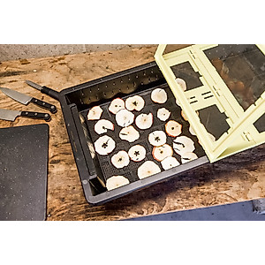 JUA Technologies Solar Food Dehydrator