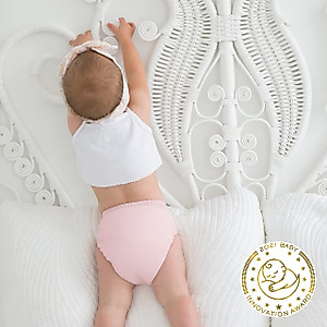 Amazing Baby Hybrid Cloth Diaper Cover/Swim Diaper, Med, Sz 3 (12-25 lbs), Use Boosties Disposable or Reusable Inserts, Pastel Pink, SmartNappy Set: Cover + Tri-Fold + Booster Pad