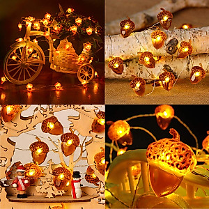 BOHON Thanksgiving Decorations Acorn Lights String 10ft 40 LEDs Fairy String Lights Battery Operated with Remote Fall Lights for Home Autumn Garland Bedroom Christmas Tree Halloween Party Decor
