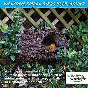 Wildlife World Simon King Secret Nester Bird Habitat Roosting Pocket