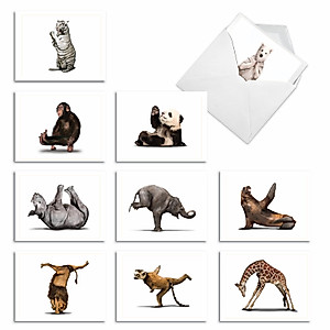 The Best Card Company - 10 Boxed Thank You Notes w/Envelopes, Assorted Stationery to Say Thanks for Men and Women - Zoo Yoga M6547TYG