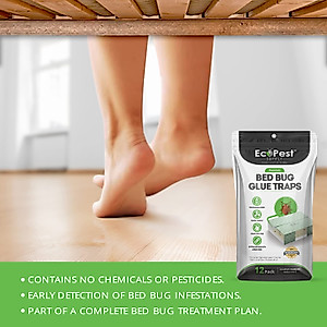 Bed Bug Glue Traps – 20 Pack | Sticky Pest Control Trap and Bed Bug Killer | Adhesive Crawling Insect Interceptors, Trap, Monitor, and Detector for Treatment of Bed Bugs and Other Indoor Pests