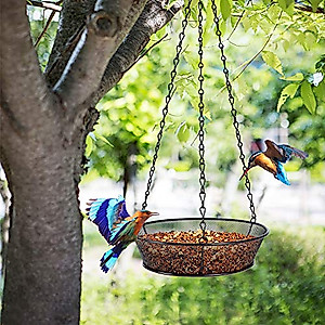 FORUP Platform Bird Feeder Hanging Tray, Metal Mesh Seed Tray for Outdoor Yard Garden Outside Backyard Decoration