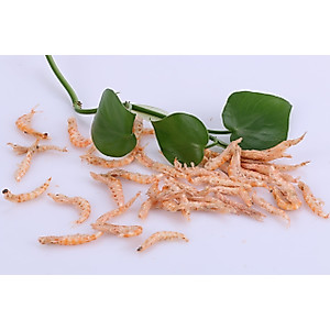 toyuto Premium Freeze-Dried Krill & Shrimp Mix Ideal for Arowana, Koi, Tropical Cichlids, and Turtles High Protein Floating Aquarium Food (1000ml)