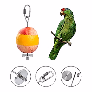 Bird Ladder Bridge, Helps Birds with Balance,Made with Raw Wood, Easy Installation, Bright, Durable and Flexible, and give Away a Set of Bird skewers for Free,Suitable for Small to Medium Birds