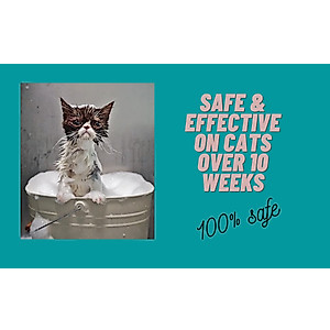 Chubbs Bars Bar - Pet Shampoo Bar for Dogs and Cats - Degreasing Dog and Cat Shampoo That is Gentle and Natural - Green Clover and Aloe Scent - 4 Oz. Bar