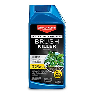 BioAdvanced 800600B Extended Control Brush Ivy Killer, Also Kills Poison Oak, BlackBerry, Kudzu and More, Concentrate, 32 oz