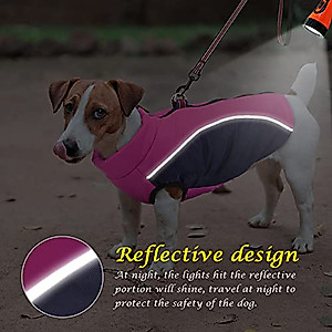 Didog Fleece Lined Warm Dog Winter Coat for Small Dogs & Cats,Reflective Cold Weather Dog Jacket Sport Vest with Zipper Closure and Leash Ring for Walking Hiking(Chest: 14" Back Length: 12", Hot Pink)