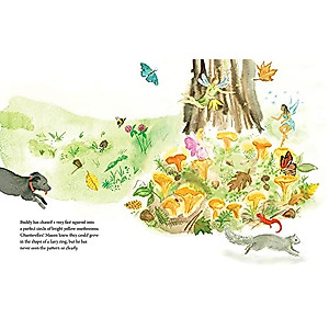 Mason Goes Mushrooming