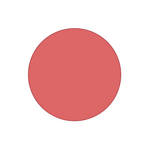 SABRENT 1TB Rocket Nano External Aluminum SSD Up to 1000MB/s (Red) (SB-1TB-NANO-RED)