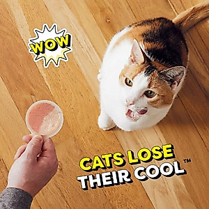 Temptations Lickable Spoons Adult Wet Cat Treat, 10 Grams, Variety Pack of 24