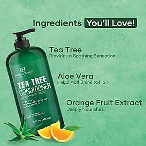 Botanic Hearth Tea Tree Conditioner | For All Hair Types | Fights Dandruff & Dry Scalp | With Vitamin C, Peppermint Oil, Rosemary Oil & Lavender Oil | Sulphate & Paraben Free | 16 fl oz