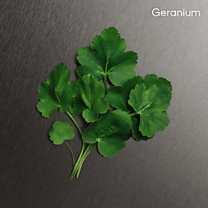 Calvin Klein Eternity Men's Deodorant Spray– With Notes of Mandarin, Sage, Cedarwood & Amber – 5.3 fl oz.