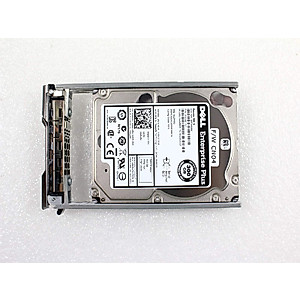 Dell EqualLogic 300GB 10K 6Gb/s 2.5" SAS HD 9TE066-157 ST9300605SS 6PC6J W6J6V (Renewed)