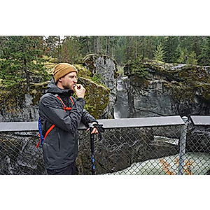 All Good Organic Lip Balm - Hydrating Lip Balm for Soft Smooth Lips with Calendula, Lavender, Olive Oil, Beeswax, Vitamin E & Coconut (3-Pack)