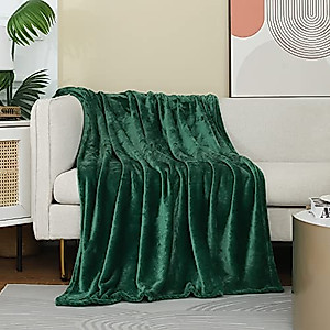 JIAHANNHA Fleece Blanket King Size Green 108 by 90 Inches Blankets for Couch Sofa Bed 280GSM,Super Soft Cozy and Luxury Bed Blanket for All Season