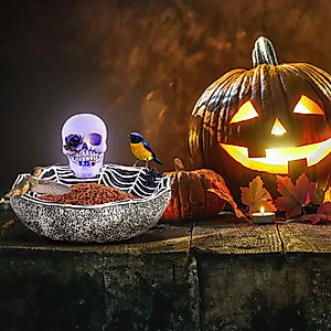 DREAMSOUL 12" Resin Bird Bath, Spider Net Bird Baths for Outdoors, Halloween Skull Birdbath Bowl for Halloween Party Garden Yard Lawn Decor