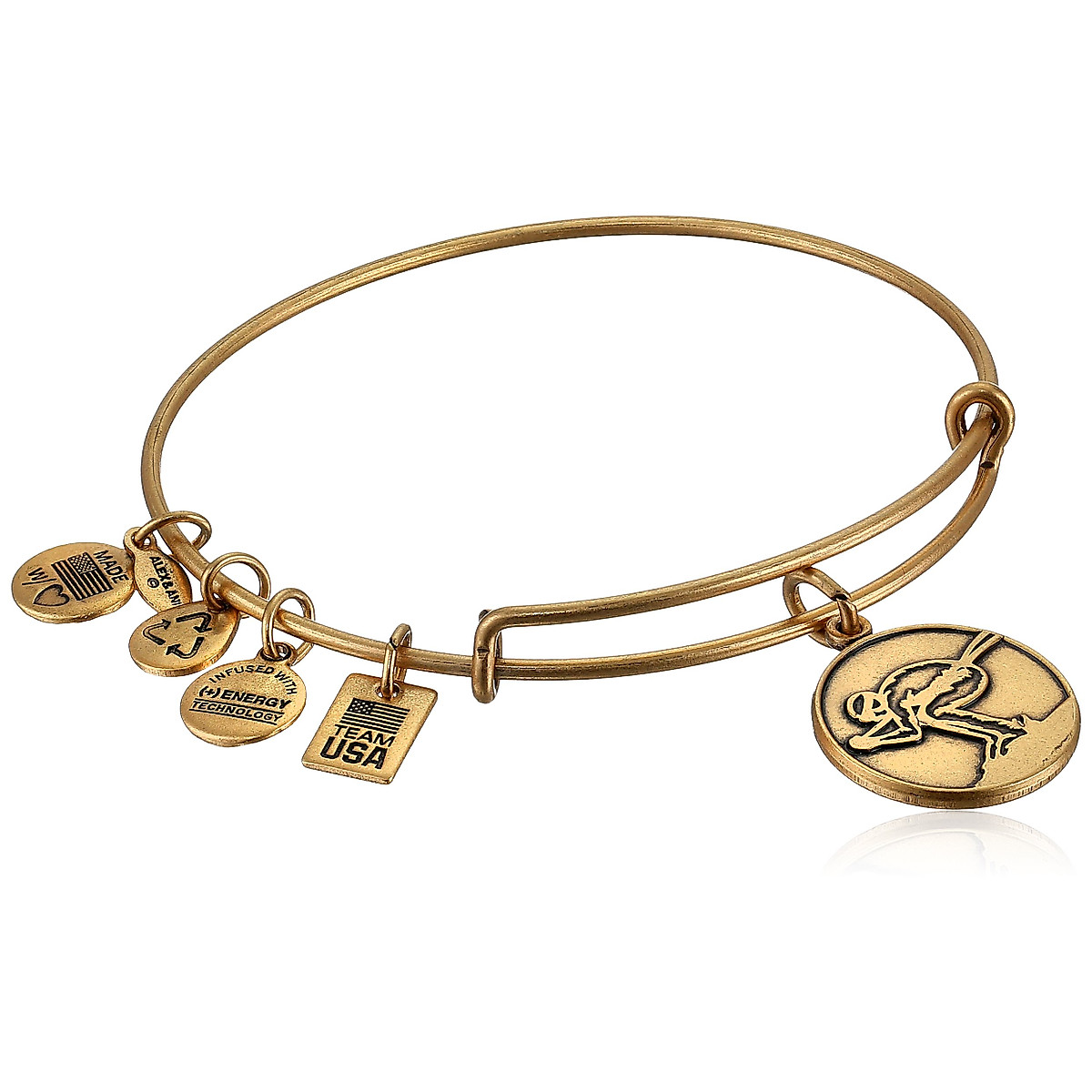Alex and Ani "Team USA Winter" Skiing Expandable Wire Rafaelian Gold-Tone Bangle Bracelet