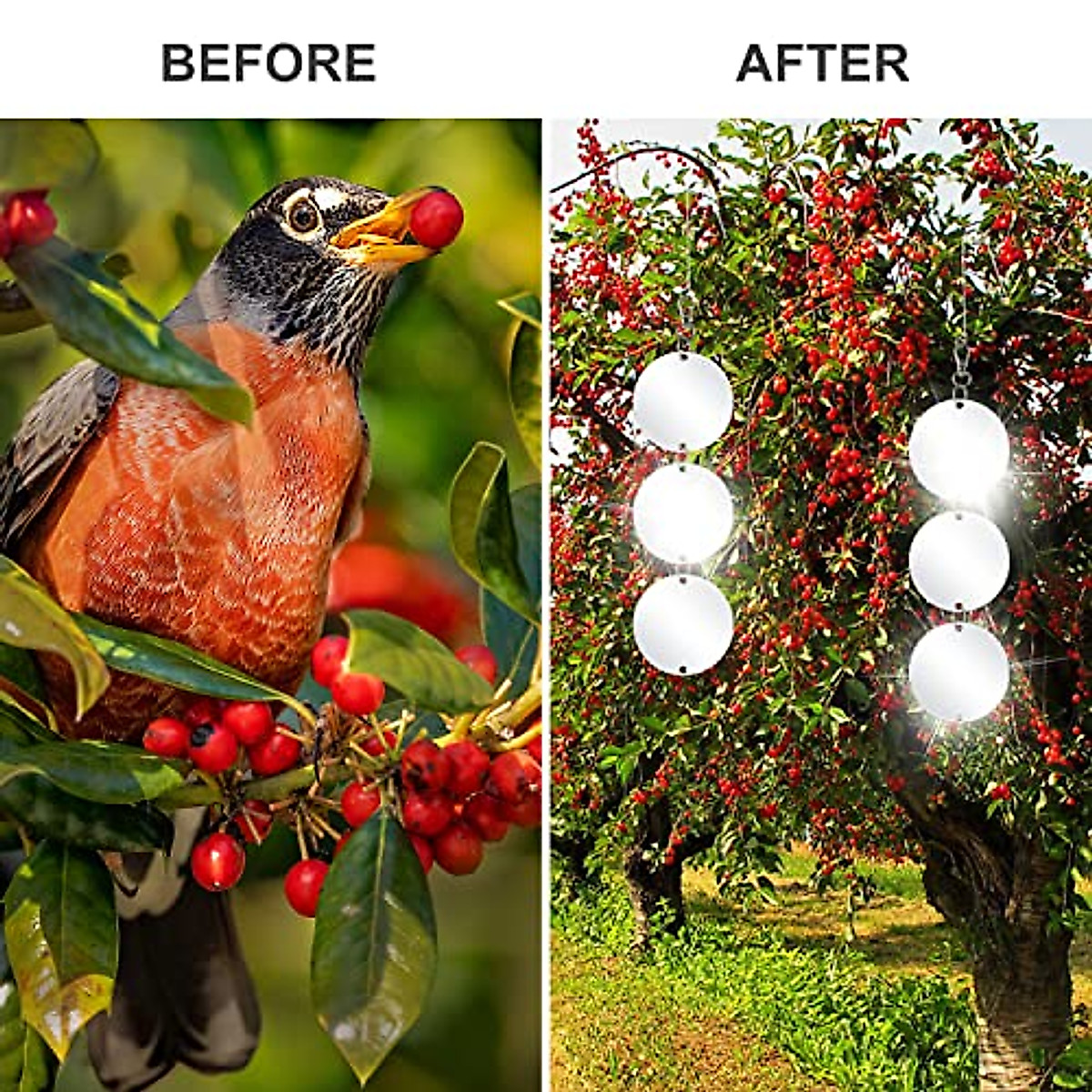 XPCARE 30 Pcs Bird Scare Discs -Highly Reflective Double-Sided Bird Reflectors, Upgraded Discs Set Reflective to Keep All Birds Away Like Woodpeckers, Pigeons, Ducks
