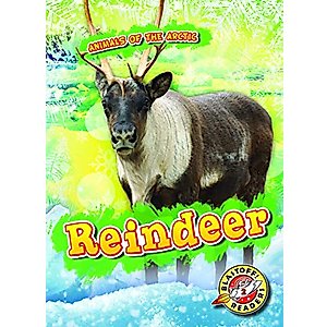 Reindeer (Animals of the Arctic)