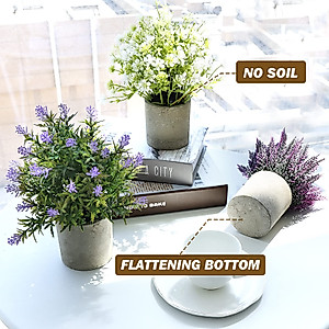 FUNARTY Fake Plants 3pcs Small Potted Plants Mini Artificial Small Flower 10” Faux Greenery Plants Indoor Lavender Pot for Garden Lawn Balcony Office Home Desk Decoration