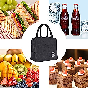 DEABOLAR NW Lunch Bag Insulated Lunch Bag Women or Men，Waterproof and Reusable Lunch Box for Women Men OfficeChildrenSchool Picnic，High Capacity Striped Lunch Bags for Women or Men