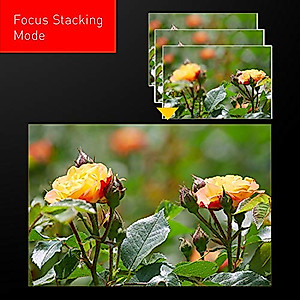 Panasonic LUMIX FZ1000 II 20.1MP Digital Camera, 16x 25-400mm LEICA DC Lens, 4K Video, Optical Image Stabilizer and 3.0-inch Display – Point and Shoot Camera - DC-FZ1000M2 (Black)