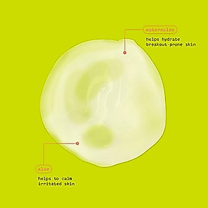 Freeman Soothing Watermelon & Aloe Gel Facial Mask, Hydrates, Nourishes, & Soothes Irritated Skin, Cooling, Calming Gel Face Mask, For Sensitive & Break-Out Prone Skin, 6 fl.oz. Tube, 1 Count