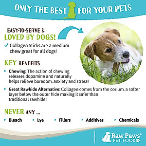 Raw Paws Beef Collagen Sticks for Dogs, 6 inch, 10-ct - Packed in USA - Natural Collagen for Dogs - Dog Chews for Aggressive Chewers & Large Dogs - Collagen Bones for Dogs, Dog Collagen Chews for Dogs