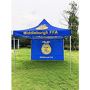 NaBai Canopy Pop Up Tent for Tradeshow 10 x 10 feet, Advertising Gazebos with Your Logo (10x10 top Canopy+one Full Wall+13kgs Aluminum Alloy Frame)
