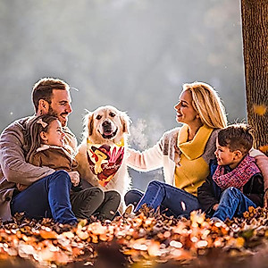 Thanksgiving Dog Bandana with Turkey Pattern,Adjustable Thanksgiving Dog Scarf,Holiday Bandanas,Fall Pet Bandana Reversible Triangle Bibs Scarf for Small Medium Large Dogs Cats (Turkey)