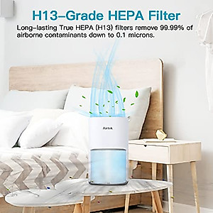 AIRTOK Air Purifier AP1001 Replacement Filters 2-Pack, 5-Layer Purification System, H13 True HEPA Filter, Activated Carbon Filter and More