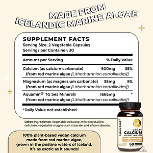 Future Kind Vegan Calcium Supplement (60 Capsules) - Plant-Based Calcium Magnesium Supplement Sourced from Iceland for Teeth and Bone Support - Calcium Supplements for Women & Men