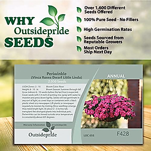 Outsidepride Vinca Periwinkle Rose Garden Flower, Ground Cover, & Container Plants - 2000 Seeds