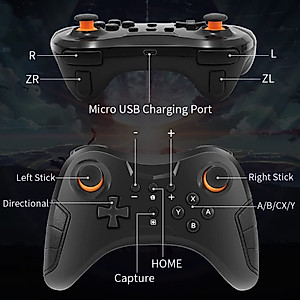 DOBE FOMIS ELECTRONICS Switch Controller, Wireless Pro Controller Gamepad Compatible with Switch Support Screenshot and Vibration Functions