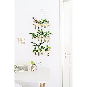 Mkono Plant Propagation Tubes, 3 Tiered Wall Hanging Plant Terrarium with Wooden Stand Mini Test Tube Flower Vase Glass Planter for Hydroponic Plant Cutting Home Garden Office Decor Plant Lover Gift