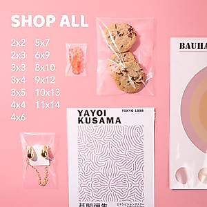 Pack It Chic - 9” X 12” (200 Pack) Clear Resealable Cello Poly Bags - Fits A4, Letter Sized Documents, Marketing Materials - Self Seal