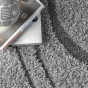 nuLOOM Carolyn Cozy Soft & Plush Shag Accent Rug, 2' x 3', Dark Grey