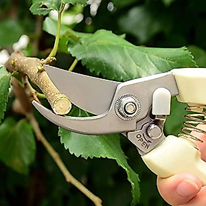 MEPEREZ Pruners, pruning shears heavy duty, premium garden scissors for hedge, bonsai, floral, small stem, orchard and vegetable pick, upgraded, gardening tools anvil snips, plant clippers 2 pack