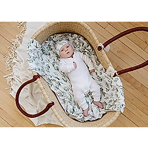 Large Premium Knit Baby Swaddle Receiving Blanket"Fern" by Copper Pearl