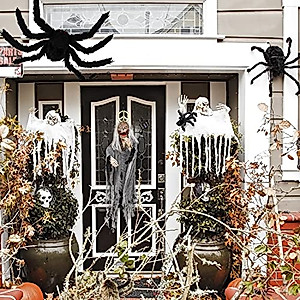 Halloween Giant Spider,Pack of 5 Fake Large Hairy Spiders,Realistic Black Spider for Halloween,Yard,Garden,Lawn,Outdoor & Indoor Decor(12'',12'',20'',24'',50'')