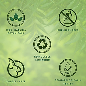 Biotique Margosa Anti-Dandruff Shampoo & Conditioner 190Ml/ 6.42 Fl.Oz I Leaves Hair Fresh, Lustrous And Full Of Natural Body