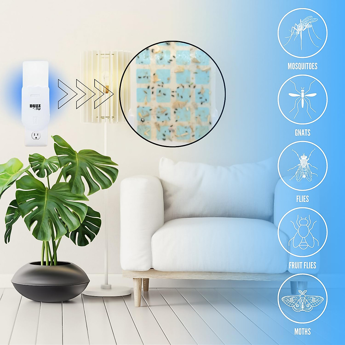 Flying Insect Trap, Indoor Fly Trap, Fruit Fly Traps, Plug in Bug Light Trap for Gnat Moth for Mosquito, Flies, Fruit Flies, Moth, Gnat, Houseflies (1 Device + 3 Refills)