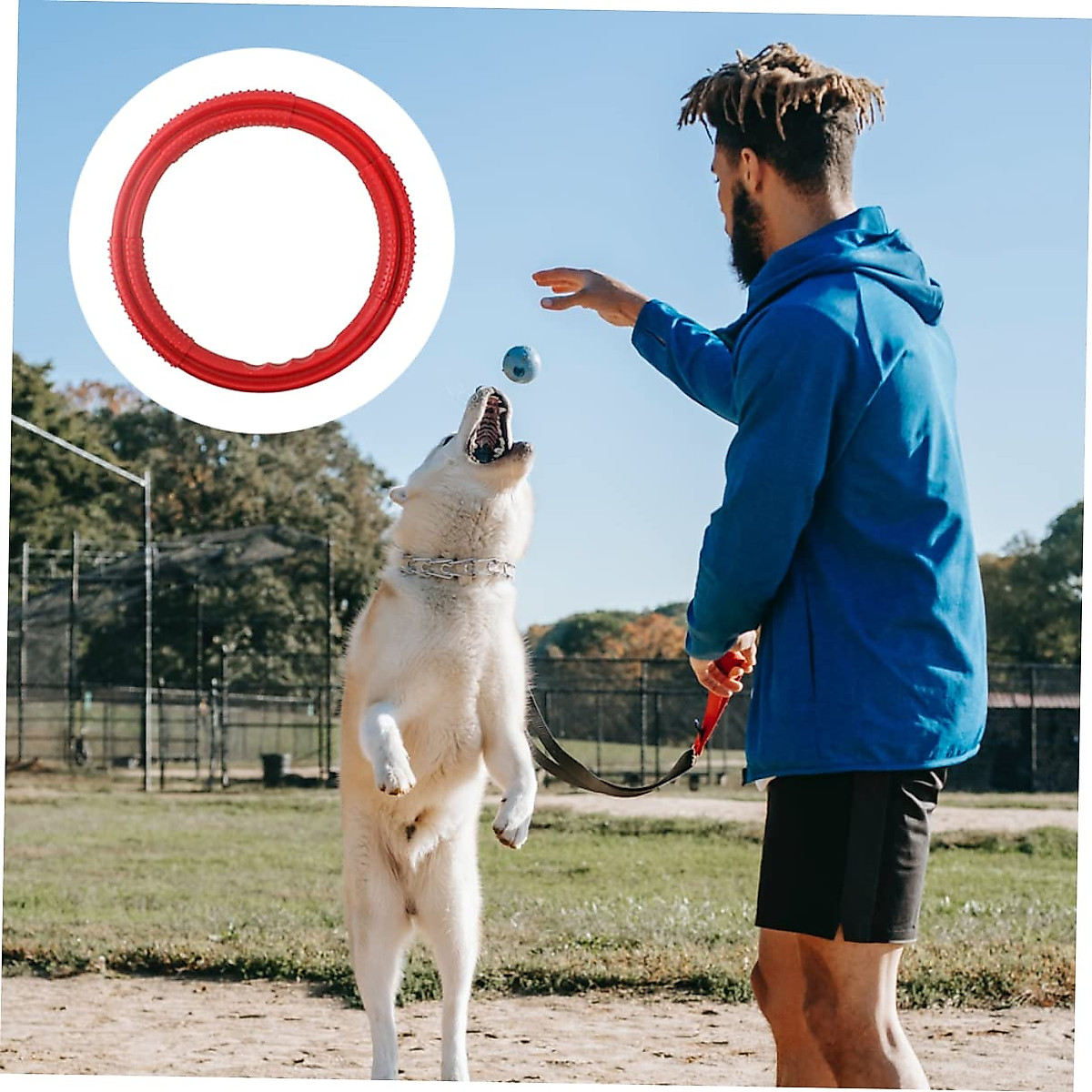 BESTOYARD Dog Pet Interactive Training Ring Outside Toys Outdoor Toys Outdoor Playset Teething Toy Dog Catching Ring Puppy Chew Toy Dog Chewing Ring Dogman Toys Indoor Rubber Teether