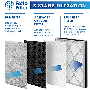Fette Filter - Air Purifier True HEPA Filter Replacement Compatible with Shark Air Purifier 4 for Model HE400 HE401 HE401C HE401NP HE402 HE402C HE405 UA415 Part # HE4FKBAS HE4FKPET HE4FKPRO 1QTY