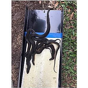 Cahaba Snake Trap Lift-Top Size 32"x10"x3"W/ 3 Large Catch Inserts