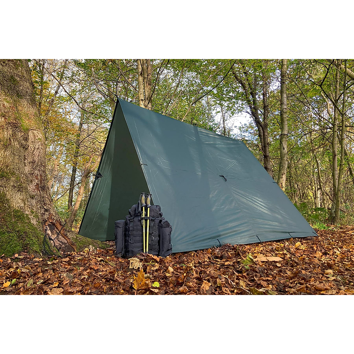 DD Hammocks - DD Tarp XL - Olive Green (15ft x 10ft) - 100% Waterproof Lightweight & Multifunctional Rainfly Extra Large Tarp Tent Shelter for Camping Bushcraft & Hiking Adventure