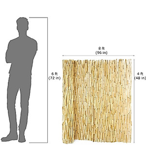 Backyard X-Scapes Natural Reed Fencing Decorative Fence for Backyard Garden Fencing Divider 4 ft H x 8 ft L